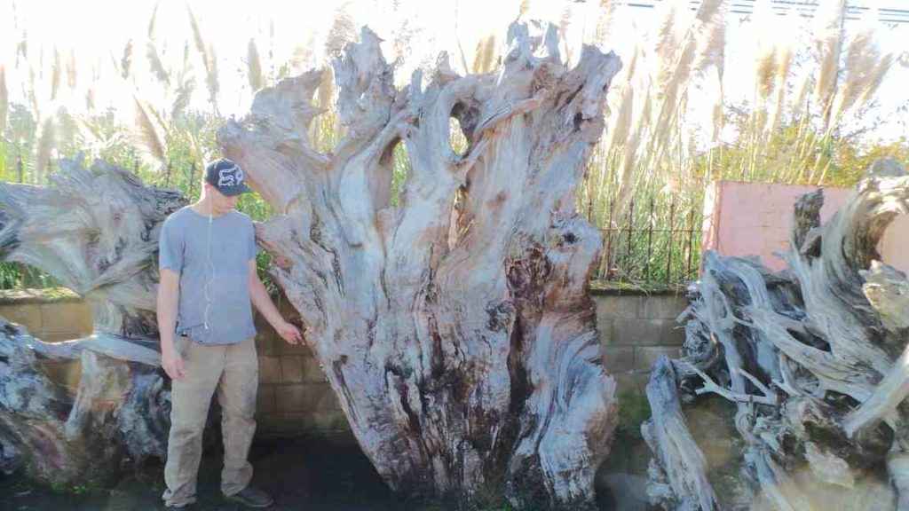 Redwood Landscape Pieces – Redwood Burl Inc.