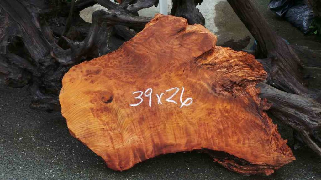 Burl Slabs 4 | Redwood Burl