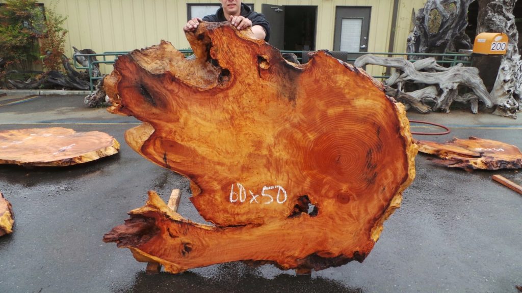 Rustic Redwood Burl Slabs - Redwood Slabs - Redwood Burl Inc.