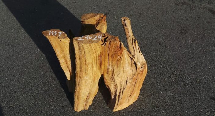 Cedar Bases - Live Edge Table Bases | Redwood Burl inc.