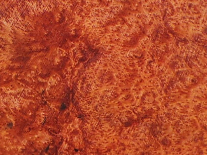What is Burl Wood? – Redwood Burl Inc.