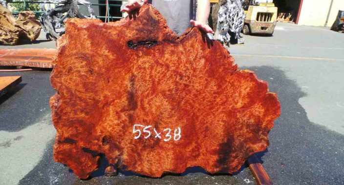 Burl Slabs - Live Edge Wood | Redwood Burl Inc.