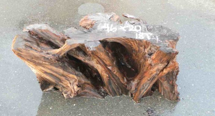 Cedar Bases - Live Edge Table Bases | Redwood Burl inc.