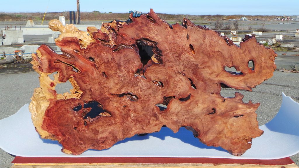 Burl Wood Art 2 | Burl Wood Wall Art | Redwood Burl Inc.