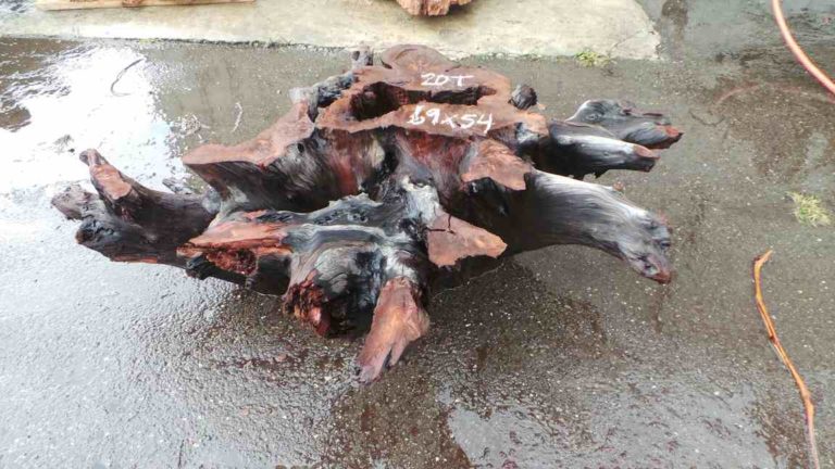Rustic Bases 2 - Redwood Burl Inc.- Tree Trunk Table Bases Stumps