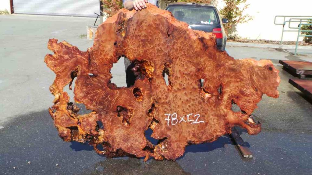 Burl Wood Art 2 – Redwood Burl Inc.