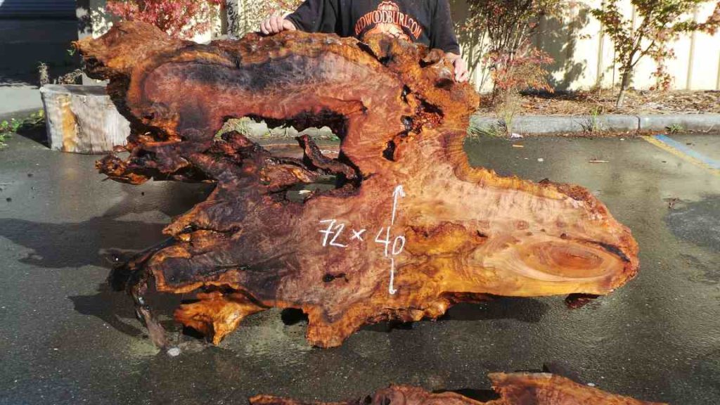 Redwood Rustic Wall Decor - Redwood Burl Inc. - Burl Wood Wall Art