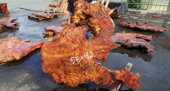 Burl Wood Art 2 | Burl Wood Wall Art | Redwood Burl Inc.