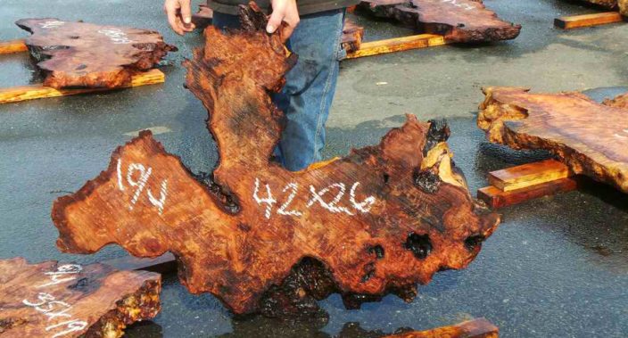 Burl Wood Art 2 | Burl Wood Wall Art | Redwood Burl Inc.