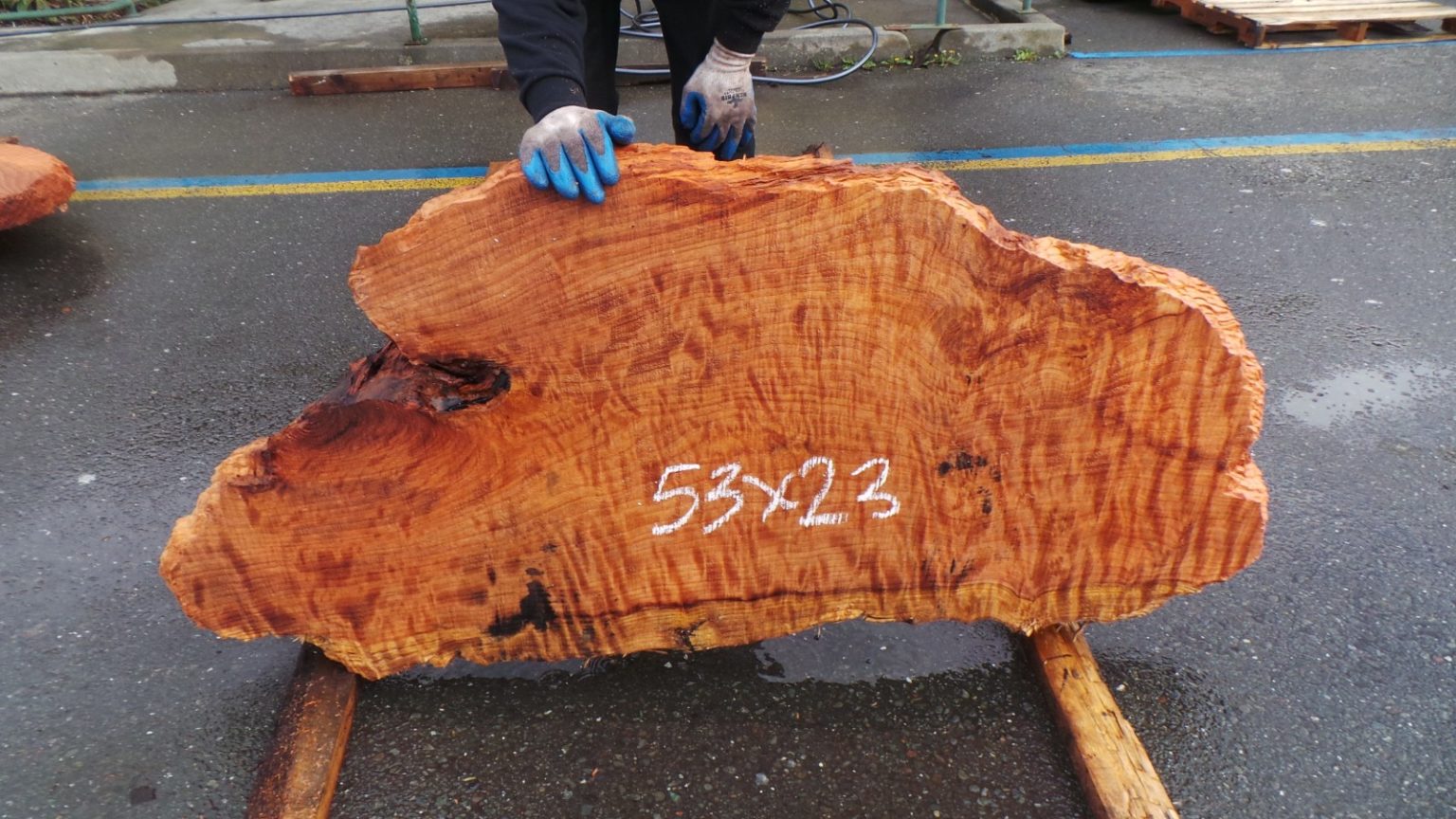 Rustic Redwood Burl Slabs - Redwood Slabs - Redwood Burl Inc.