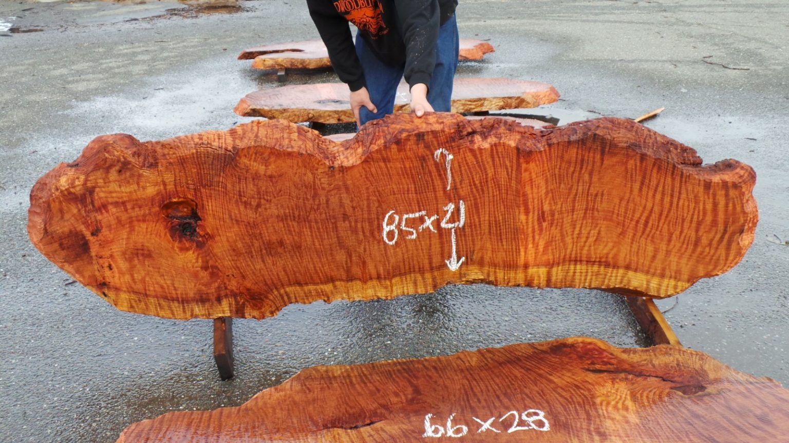 Redwood Burl Slabs for Sale - Redwood Burl Slabs 3 - Redwood Burl Inc.