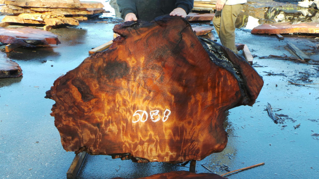 Rustic Redwood Burl Slabs - Redwood Slabs - Redwood Burl Inc.