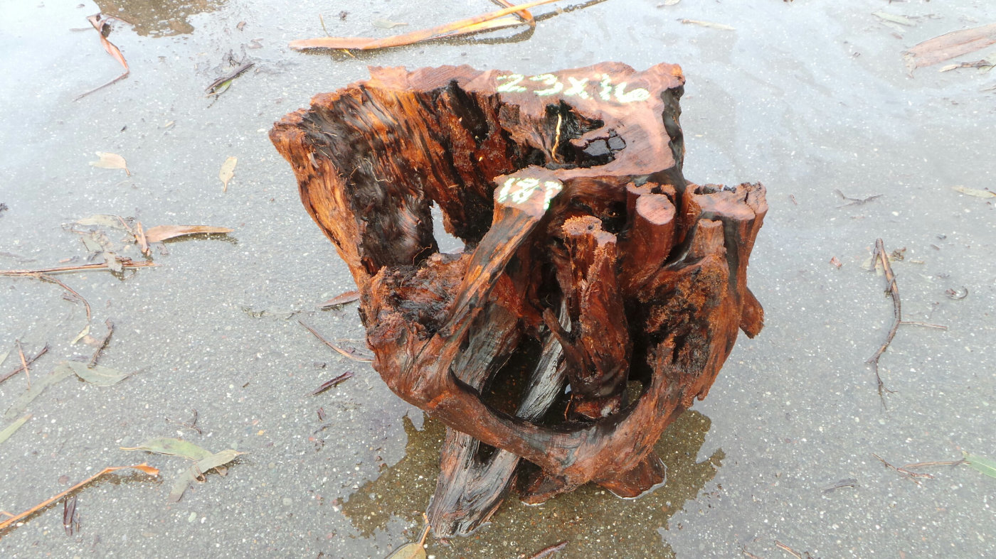 Redwood Tree Table Base | B-112 | Redwood Burl Inc.