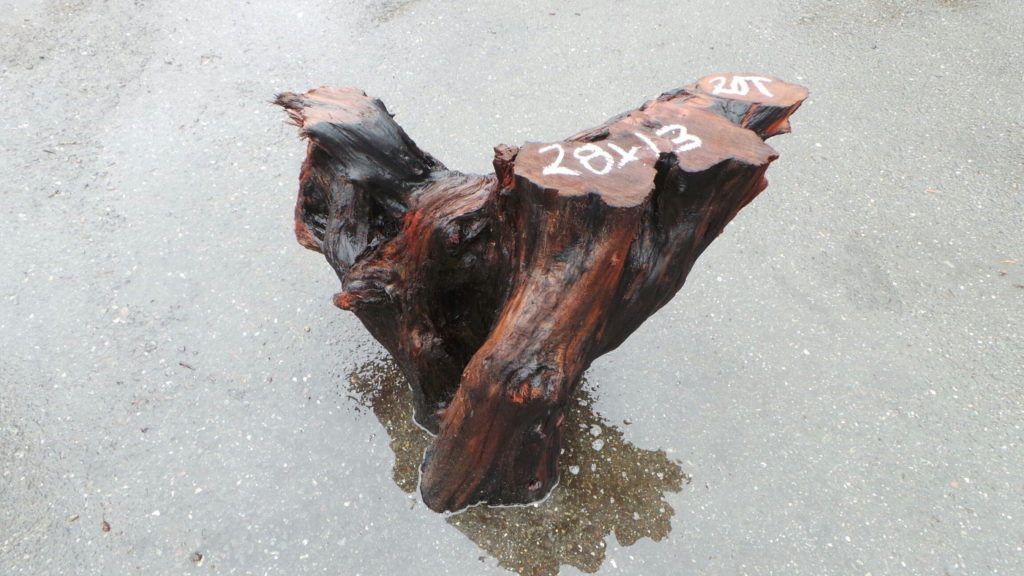 Tree Stump Table Base Options - D.I.Y. Rustic Wood Coffee Tables