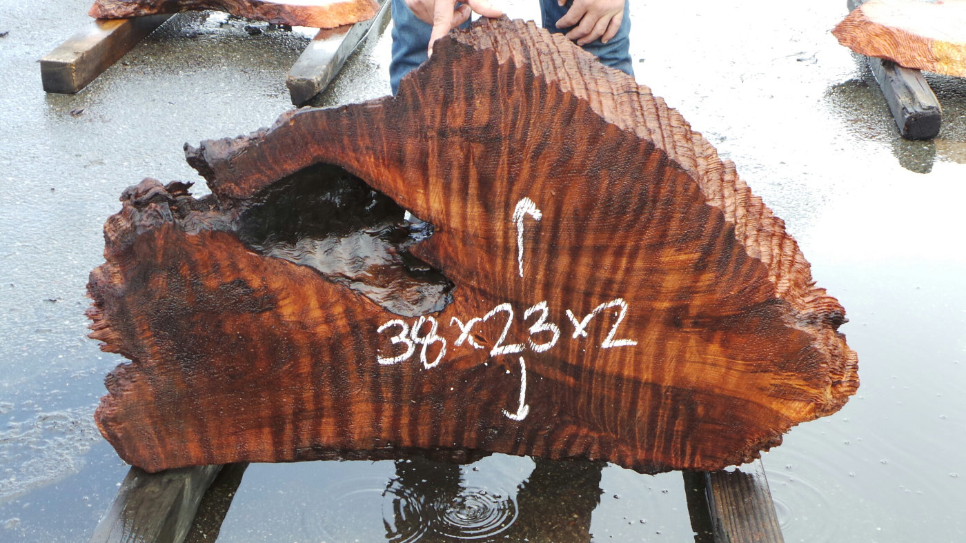 SL-604 - Redwood Burl Inc. - Tree Growth Ring Table Slab