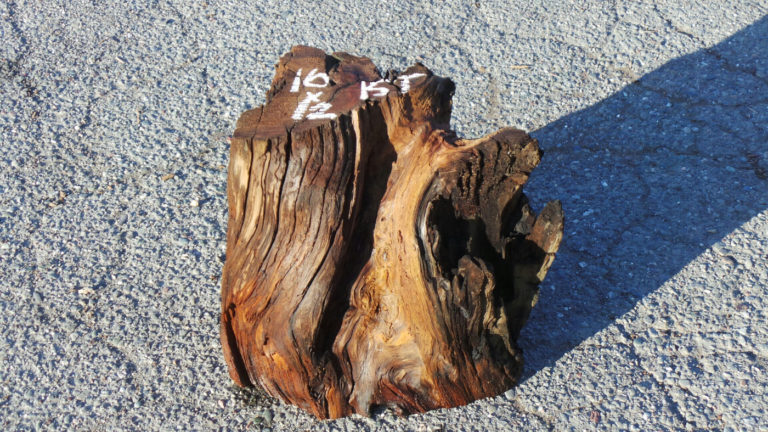 Rustic Table Bases – Redwood Burl Inc.