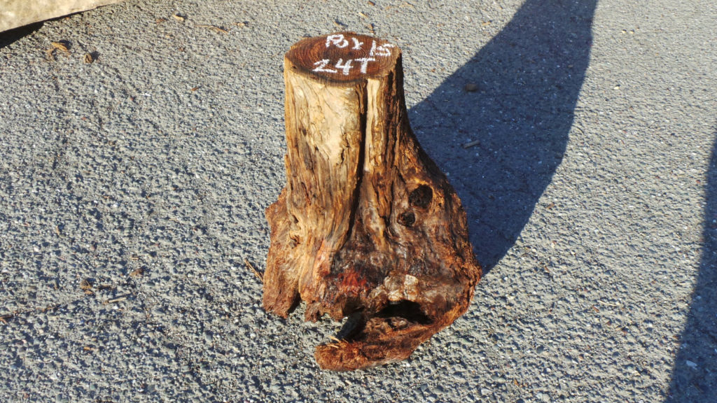 Tree Stump Tables, Mounts and Stands - Custom Craft Furniture