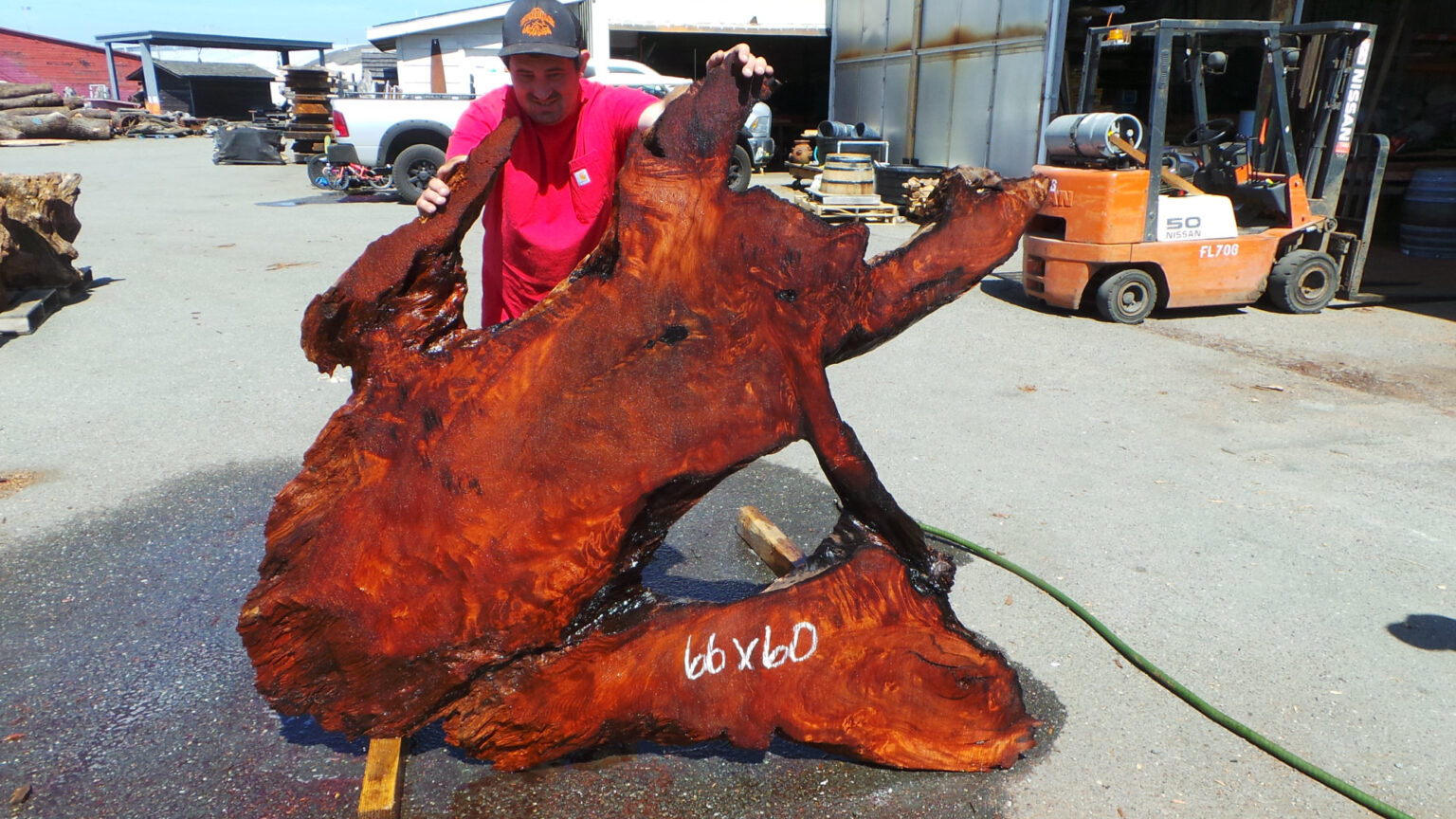 Burl Wood Art 2 – Redwood Burl Inc.