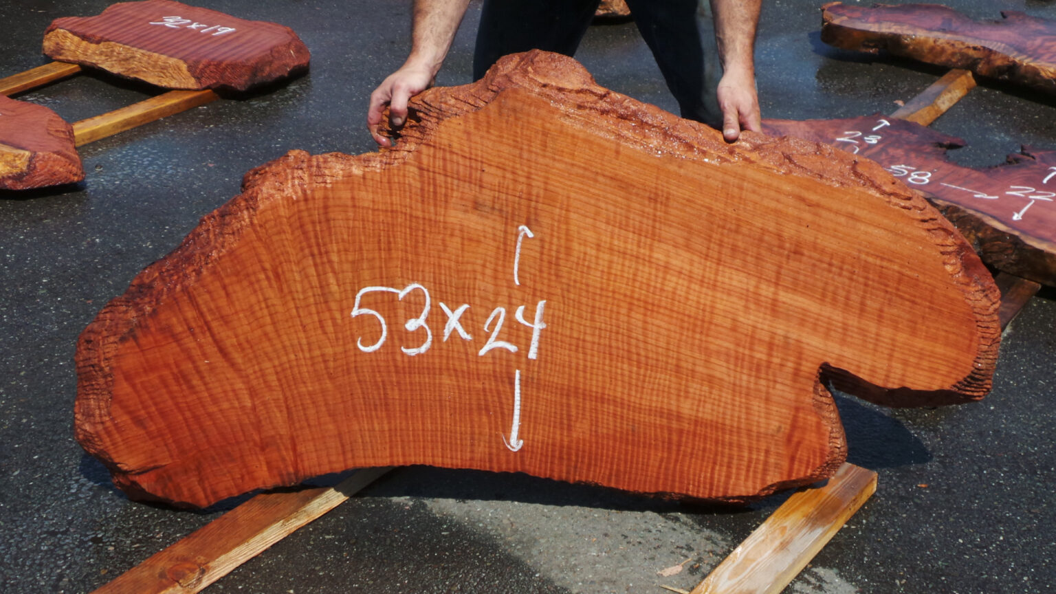 Redwood Burl Slabs 6 – Redwood Burl Inc.