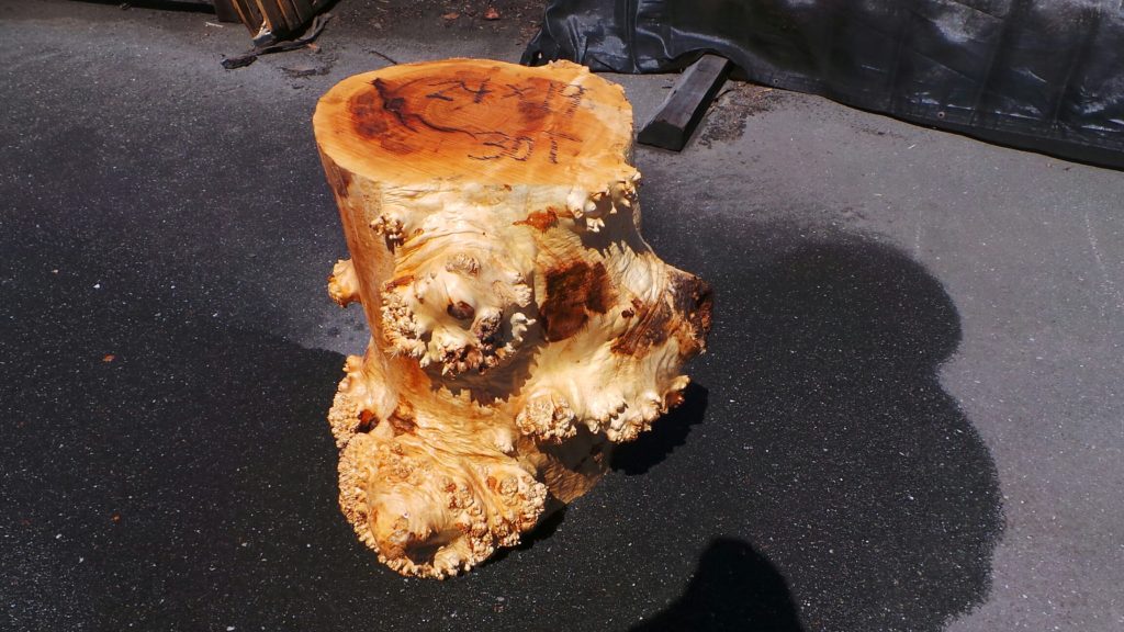 Maple Stump Table Boost Pedestal | B-118 | Redwood Burl Inc.