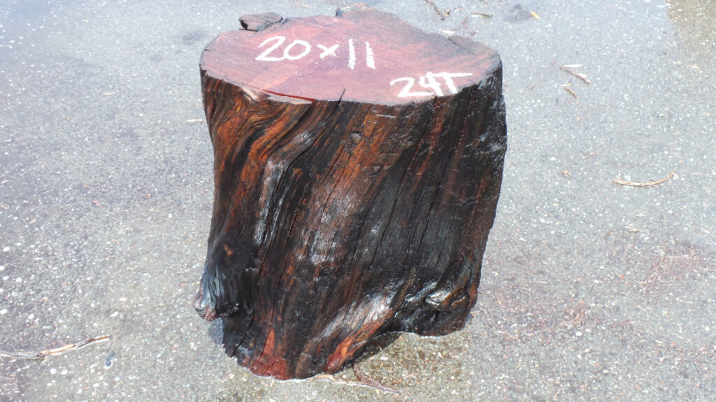 Rustic Bases 2 – Redwood Burl Inc.