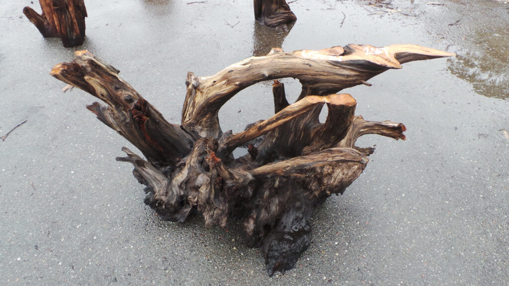 Rustic Bases 3 – Redwood Burl Inc.