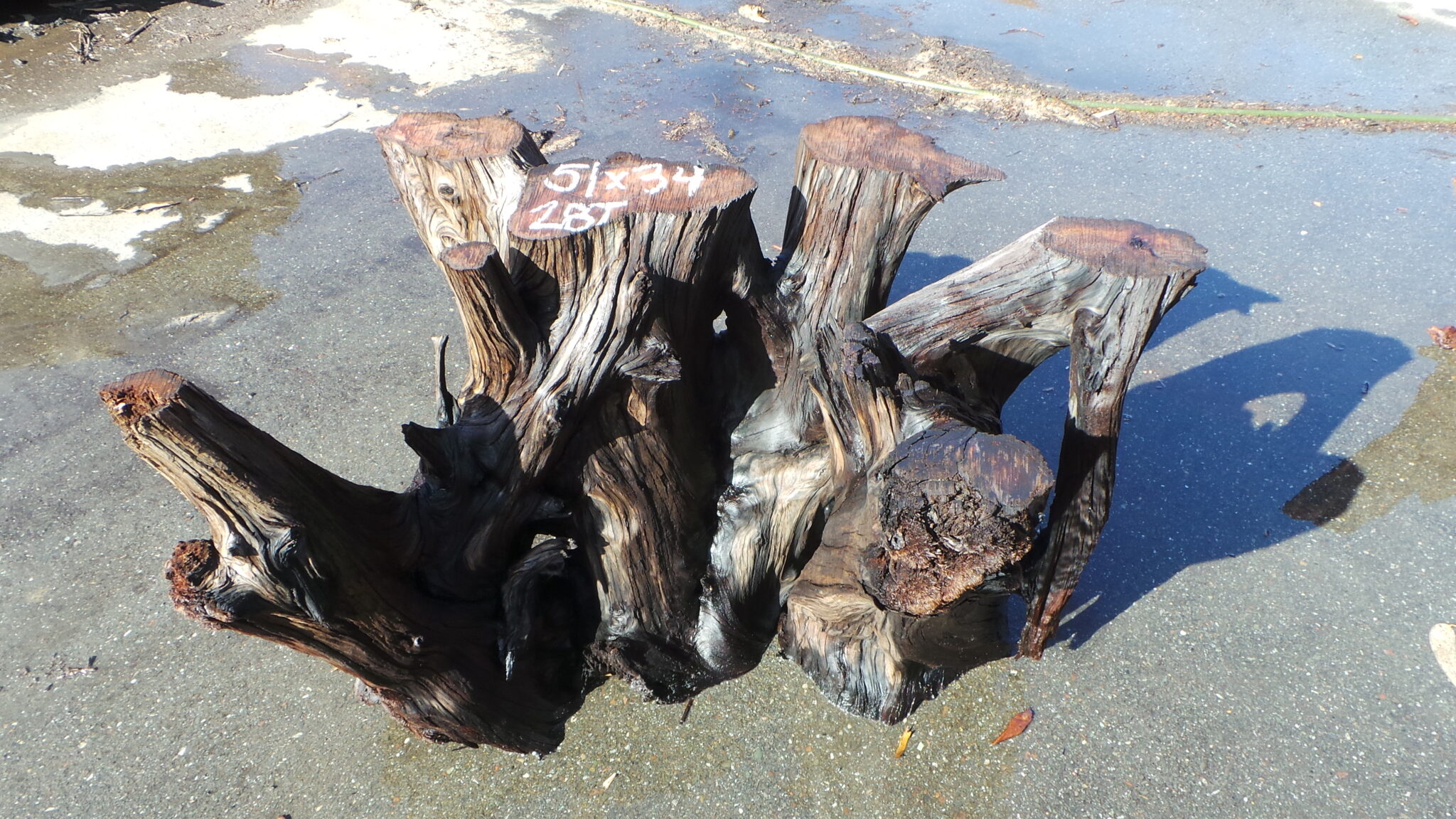 Rustic Bases 3 – Redwood Burl Inc.