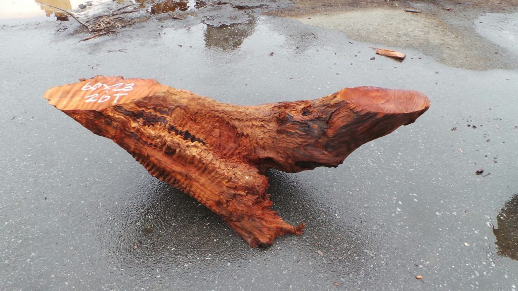 Rustic Bases 4 – Redwood Burl Inc.