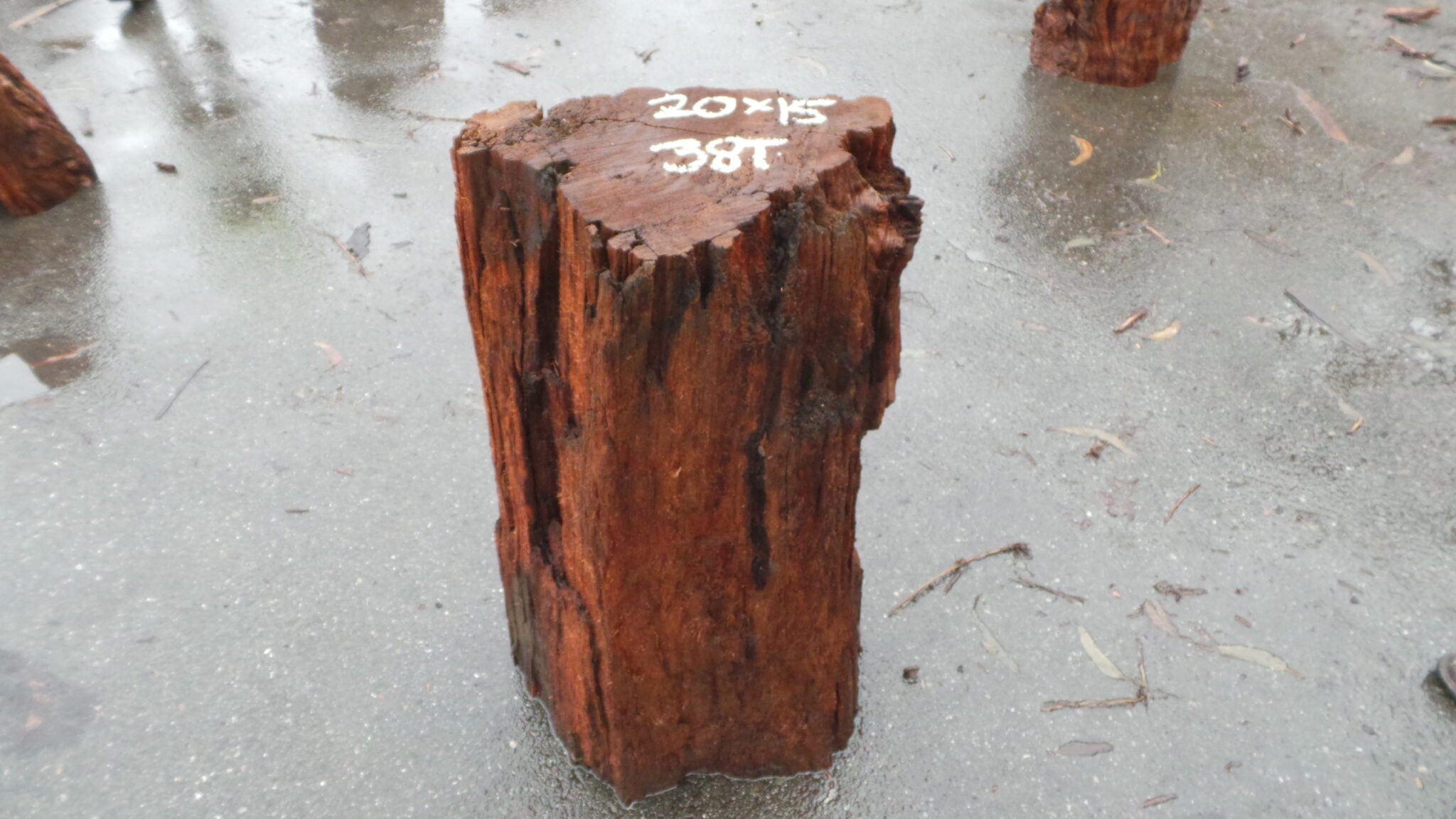 Rustic Bases 4 – Redwood Burl Inc.