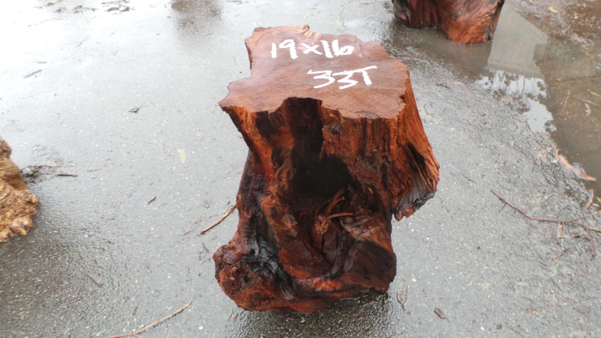 Rustic Bases 4 – Redwood Burl Inc.