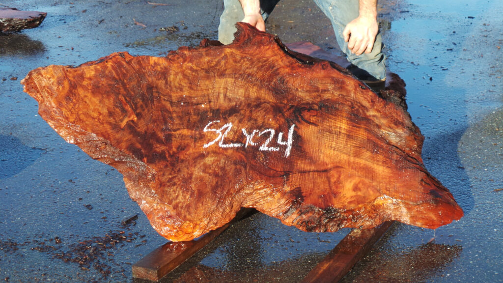 What is Burl Wood? Explaining Burl Wood – Redwood Burl Inc.