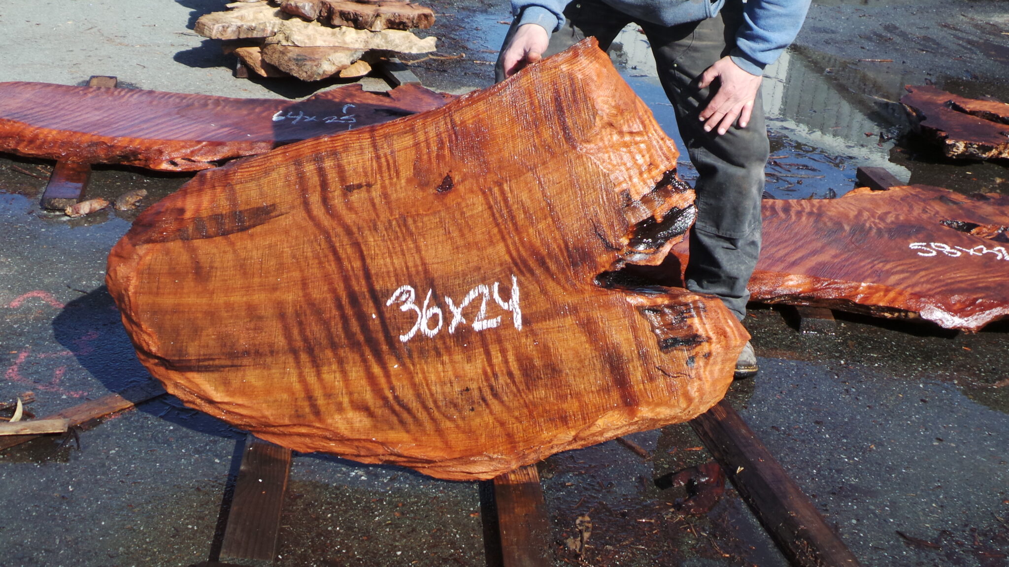 Redwood Burl Slabs – Redwood Burl Inc.