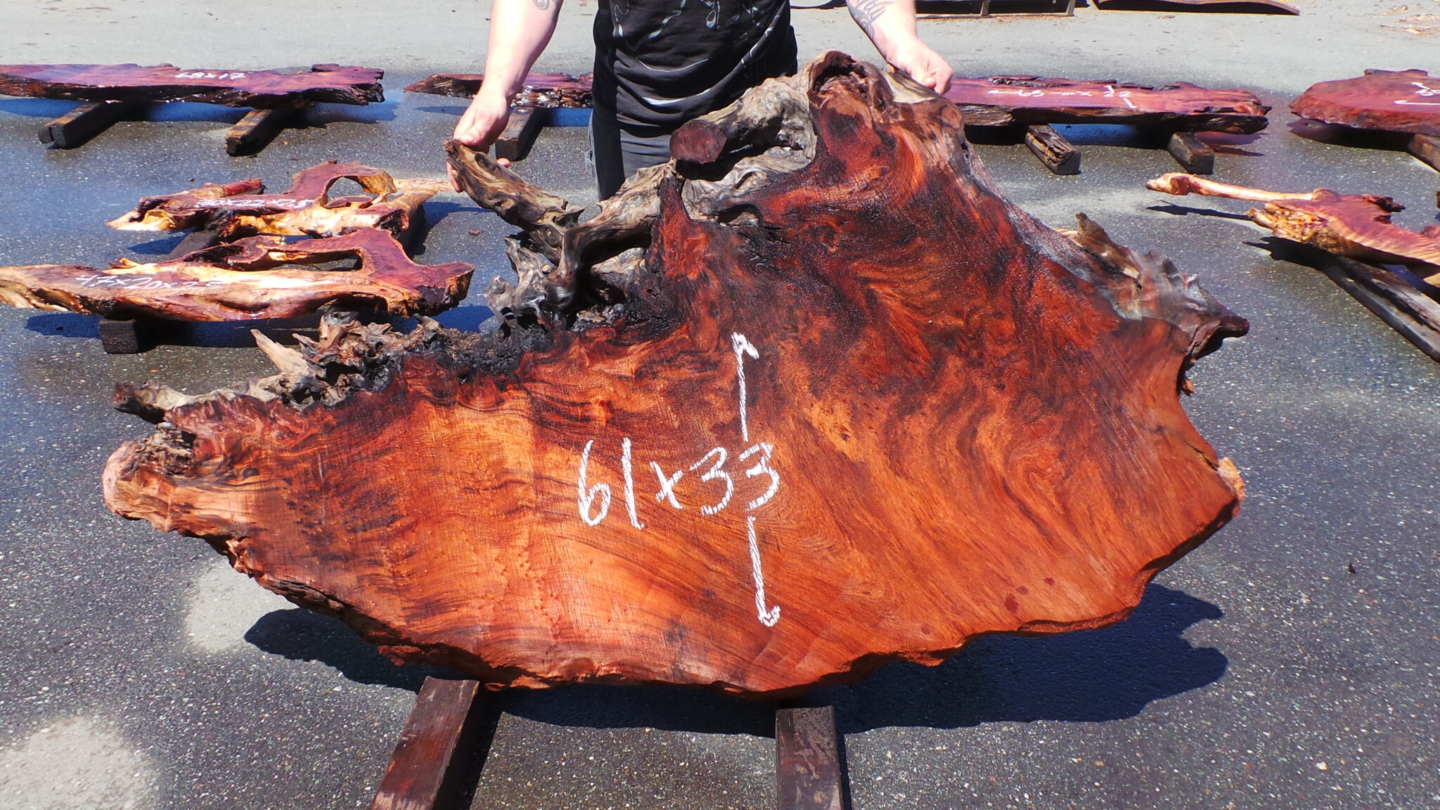 Redwood Burl Slabs 3 – Redwood Burl Inc.