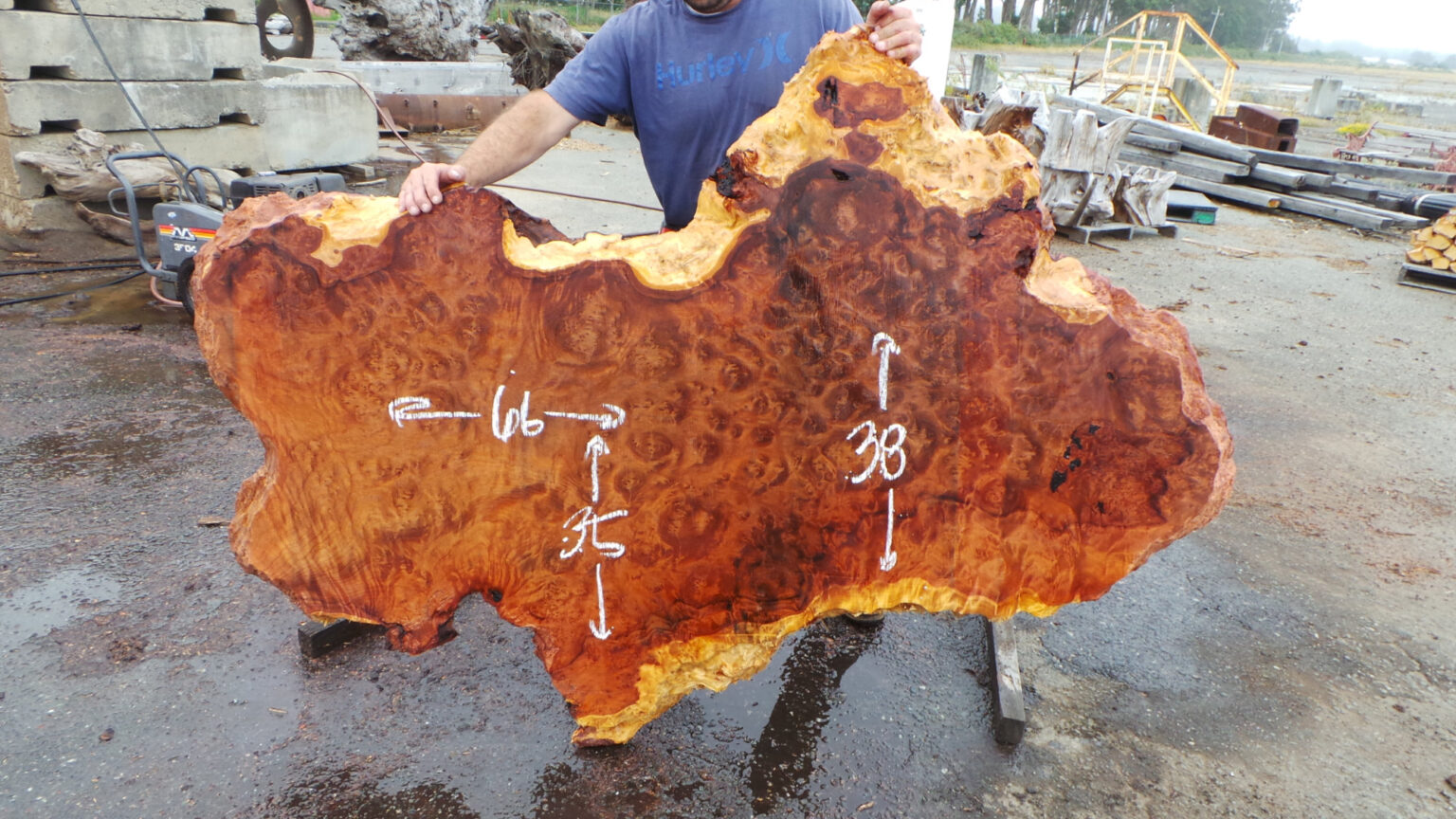 Redwood Burl Slabs – Redwood Burl Inc.