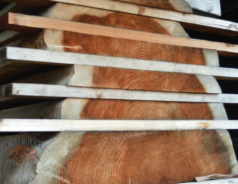 Celebrating Redwood as a Sustainable Resource – Redwood Burl Inc.