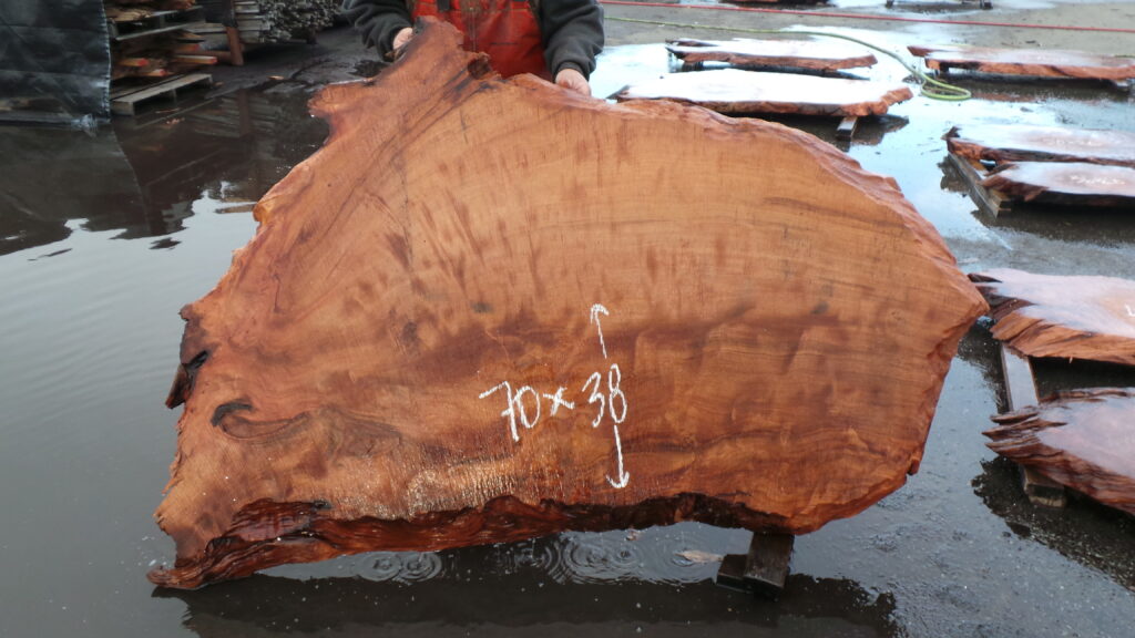 DS-113 – Redwood Burl Inc.